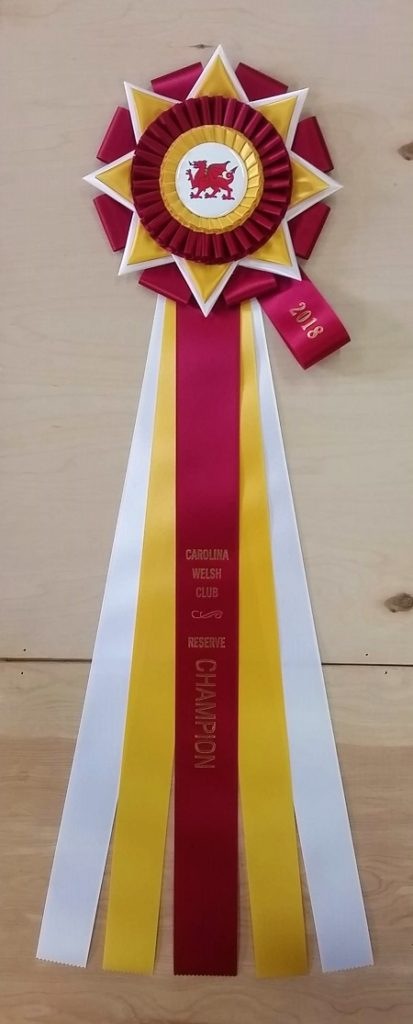 Champion Award Ribbons Archives - McLaughlin Ribbon Awards