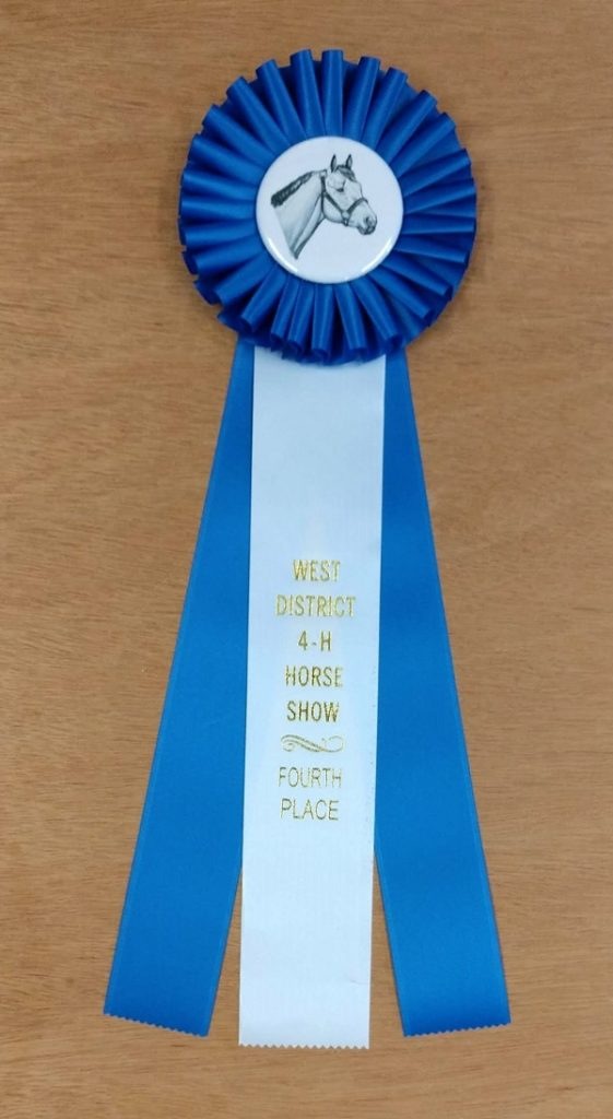 Quick Ship Horse Show Rosette Ribbons 1st - 6th Place - McLaughlin ...