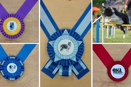 Award Ribbons - Custom Award Ribbons - McLaughlin Ribbon Awards