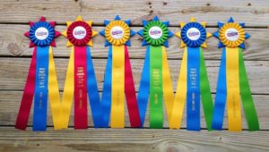 Award ribbon place color guide - custom award ribbons - McLaughlin ...