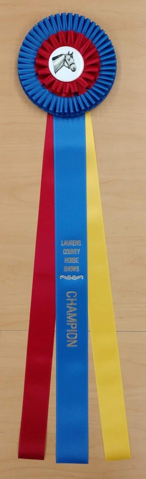 Deluxe 28" Champion Award Rosette Ribbon - custom award ribbons ...