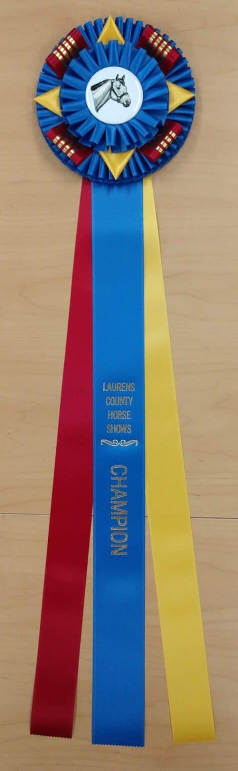 Champion Award Ribbons Archives - McLaughlin Ribbon Awards