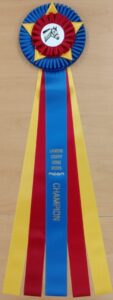 Champion Award Ribbons Archives - McLaughlin Ribbon Awards