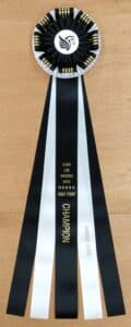 Award Ribbons - Custom Award Ribbons - Custom Rosette Ribbons ...