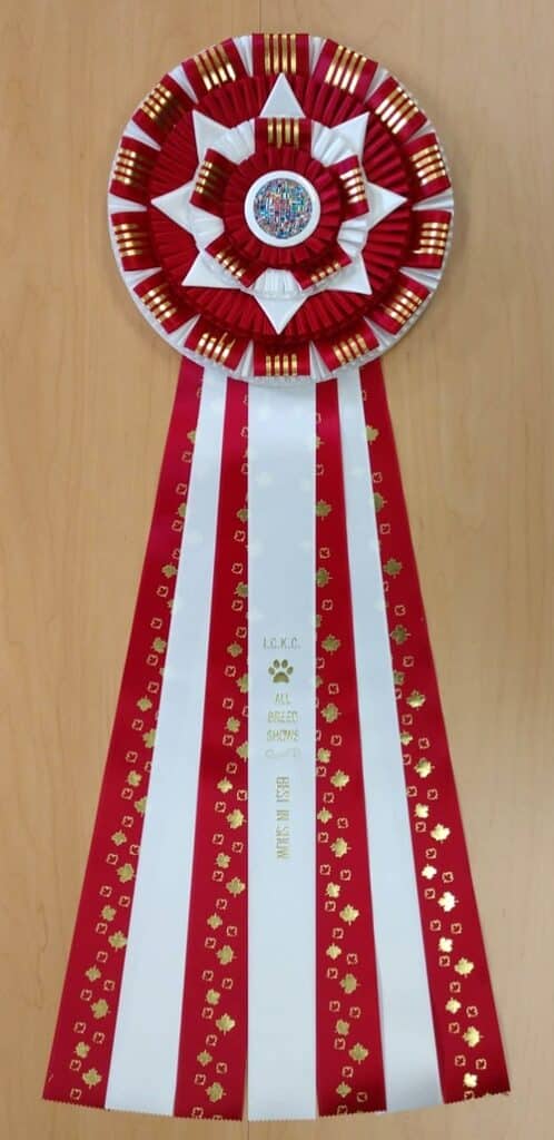 Champion Award Ribbons Archives - McLaughlin Ribbon Awards