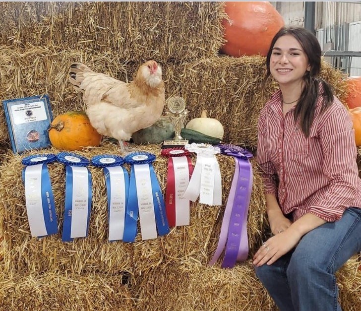 Livestock Show Ribbons - McLaughlin Ribbon Awards - Custom Award ...