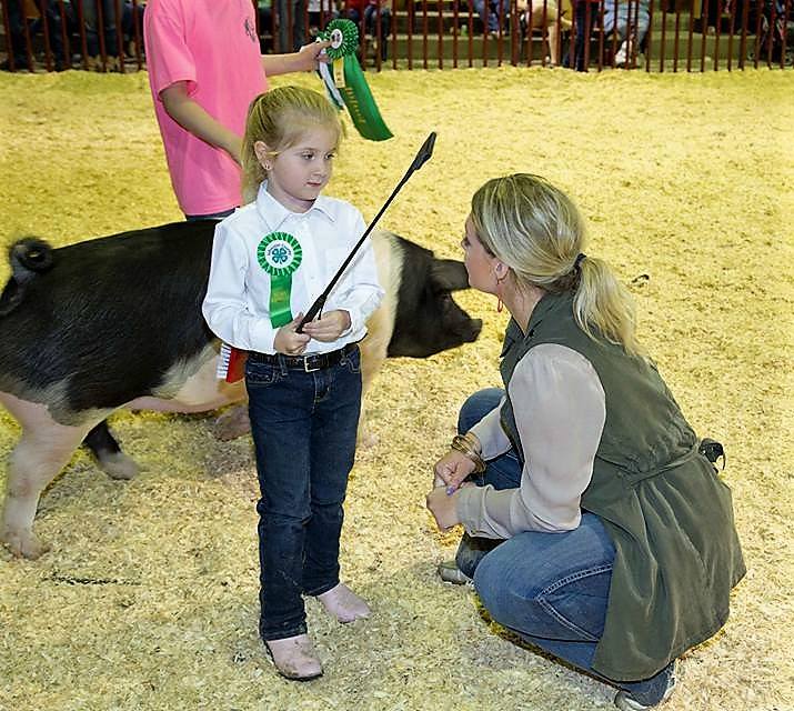 Livestock Show Ribbons - McLaughlin Ribbon Awards - Custom Award ...