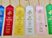 Award ribbon place color guide - custom award ribbons - McLaughlin ...