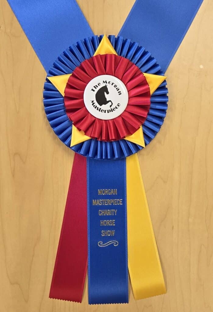 Seti Neck Sash - Neck Sashes - McLaughlin Ribbon Awards