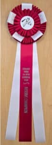Award ribbon place color guide - custom award ribbons - McLaughlin ...
