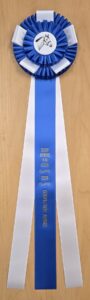 Champion Award Ribbons Archives - McLaughlin Ribbon Awards
