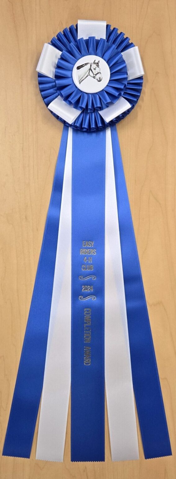Champion Award Ribbons Archives - McLaughlin Ribbon Awards