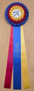Triple Rose 22" Champion Award Rosette Ribbon - custom award ribbons ...