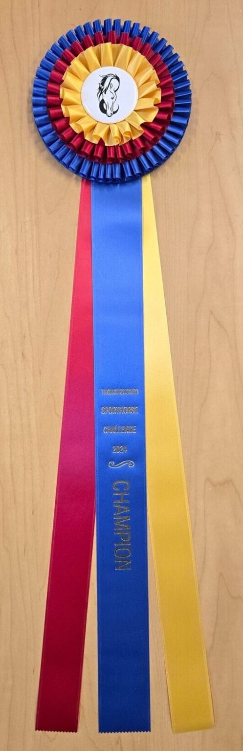 Champion Award Ribbons Archives - McLaughlin Ribbon Awards